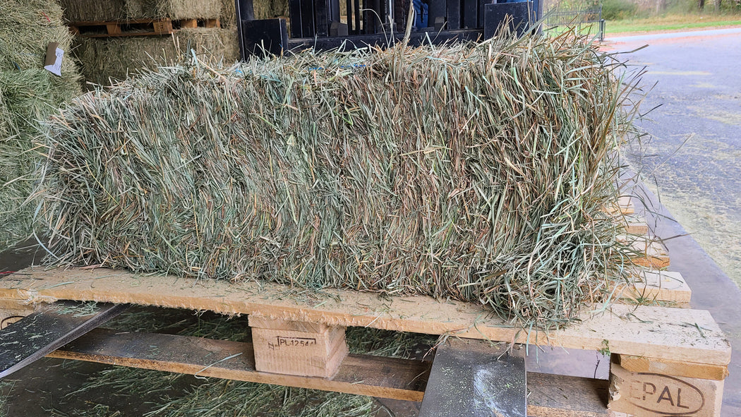 Hay & Bedding - Conyers, GA - The Stock Market Country Store