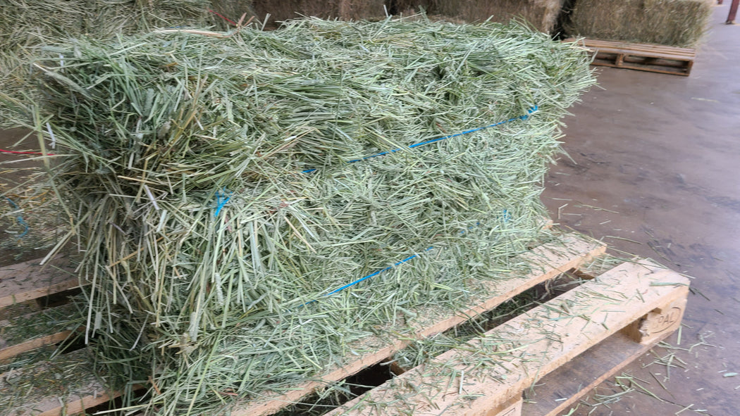 Hay & Bedding - Conyers, GA - The Stock Market Country Store