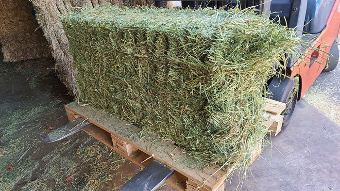 Hay & Bedding - Conyers, GA - The Stock Market Country Store