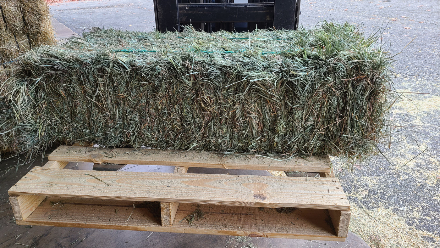 Hay & Bedding - Conyers, GA - The Stock Market Country Store