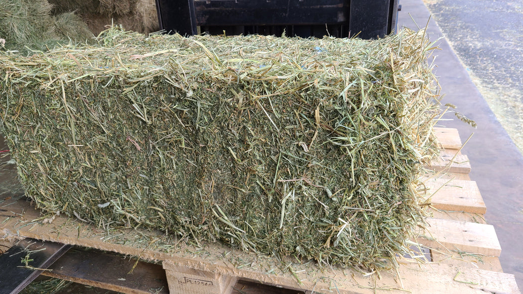 Hay & Bedding - Conyers, GA - The Stock Market Country Store
