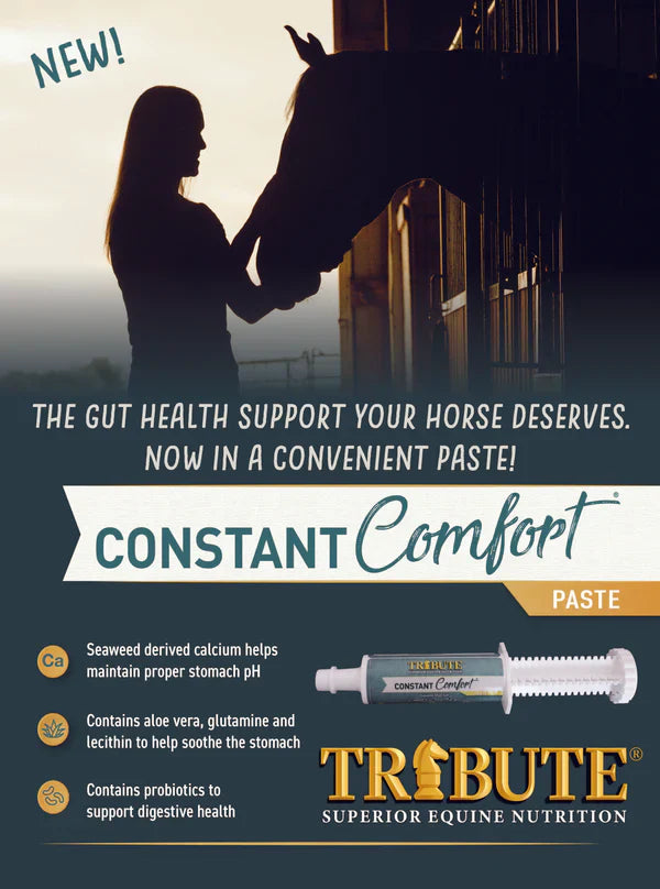 Tribute Constant Comfort® Paste Gut Health Supplement (60 cc) - Conyers ...
